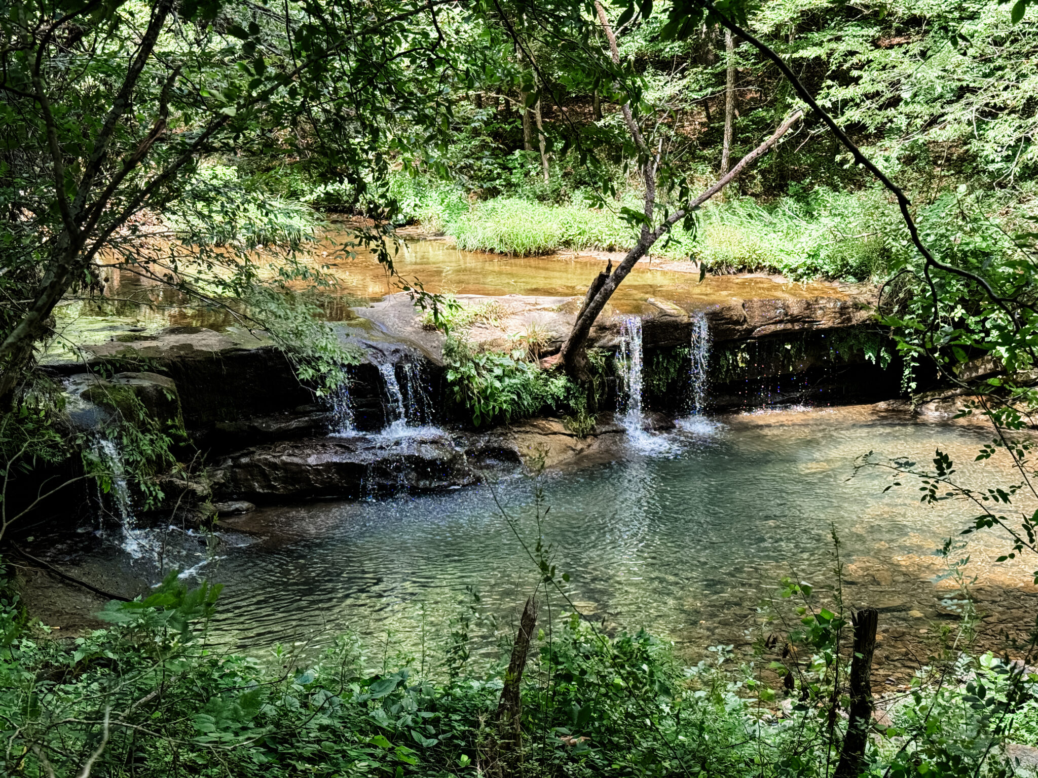 Hiking to Eva ‘Granny’ Henderson’s Cabin in the Buffalo River Region