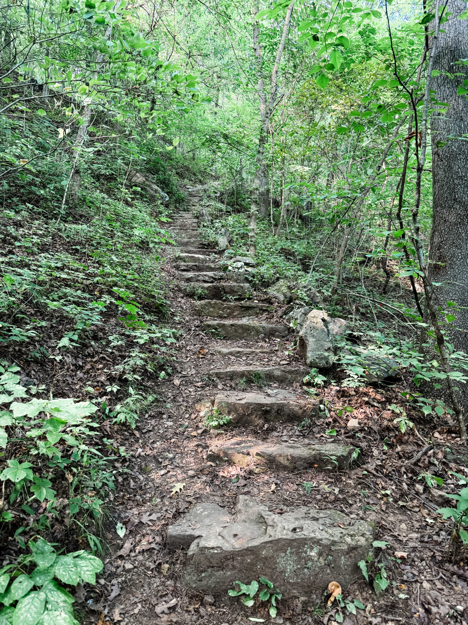 Hiking to Eva ‘Granny’ Henderson’s Cabin in the Buffalo River Region