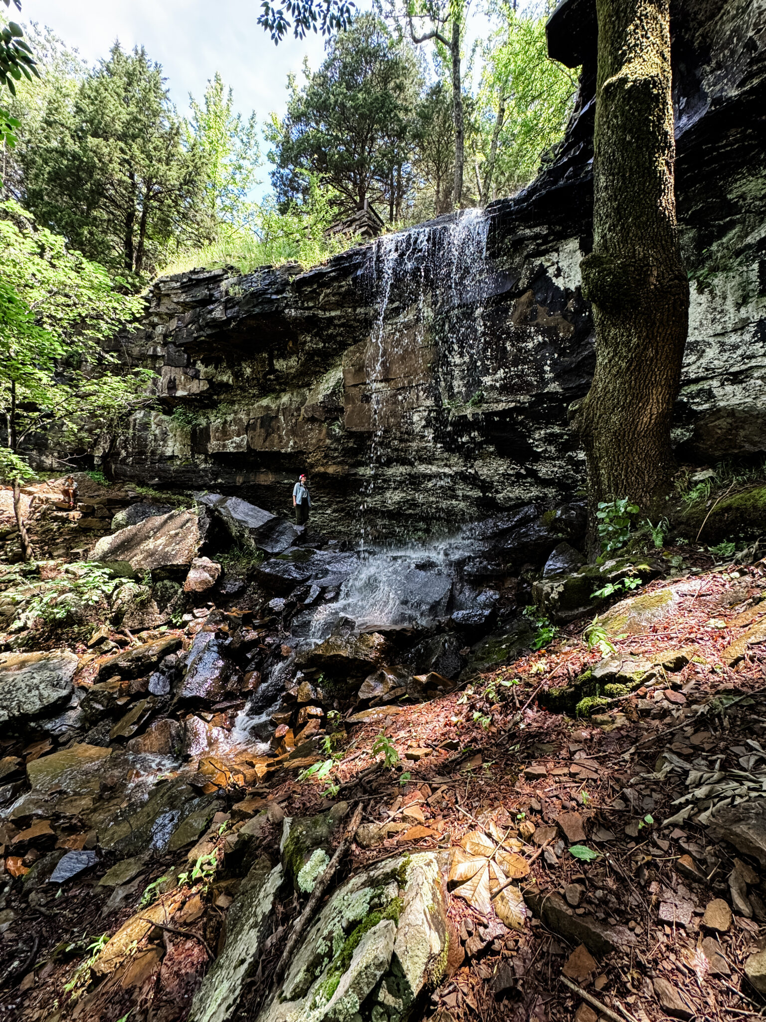 Mount Nebo State Park: Hiking, Cabins, and Scenic Views in Arkansas